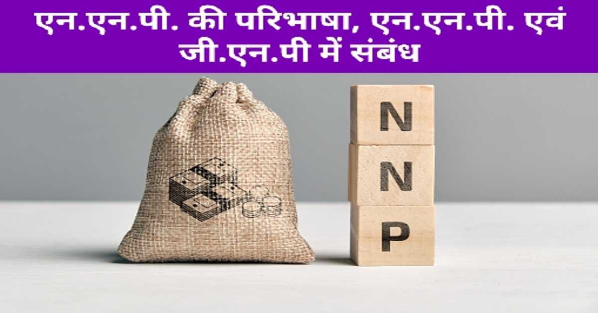 एन.एन.पी. की परिभाषा, एन.एन.पी. एवं जी.एन.पी में संबंध | Definition of ...